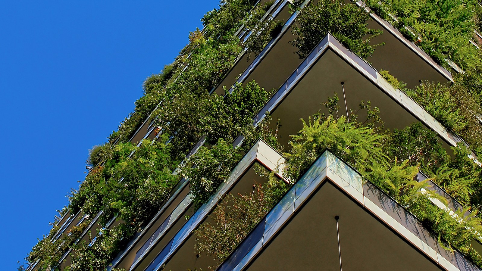 Embodied emission reporting - erbas™ - Engineers for Building Services