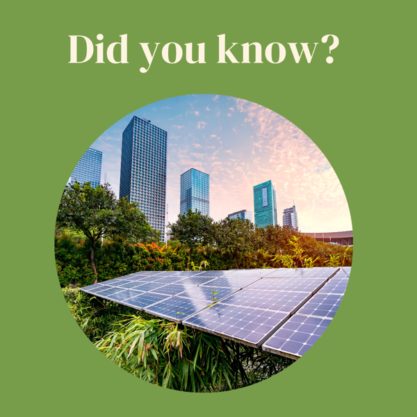 NABERS Embodied Carbon Tool - erbas™ - Engineers for Building Services